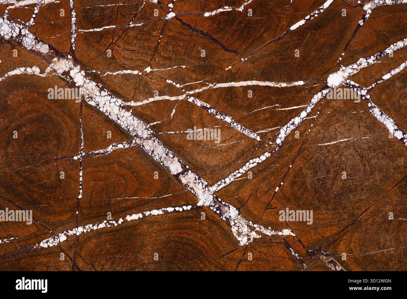 Modern White Fire - marble background, texture in new brown color for ...