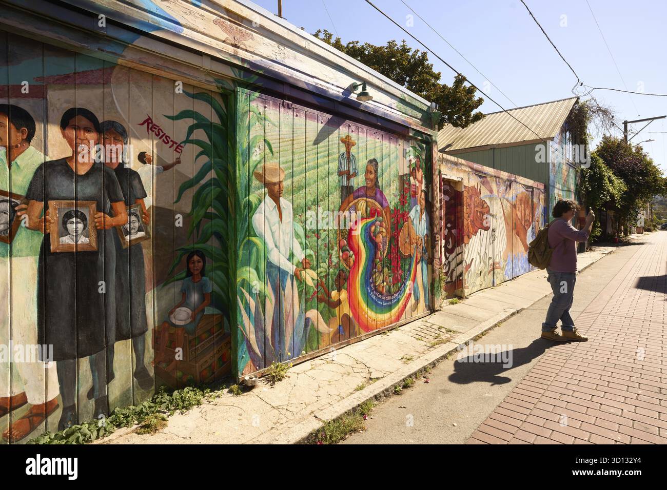 Murals, also known as murals, along the streets in Mission District ...