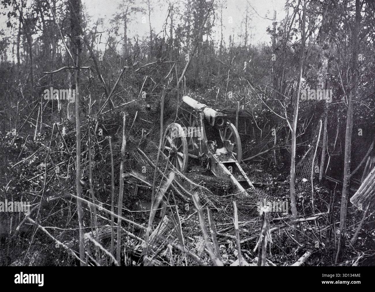 Captured German gun in Mametz Wood, 10 August 1916: On 10 August 1916 ...