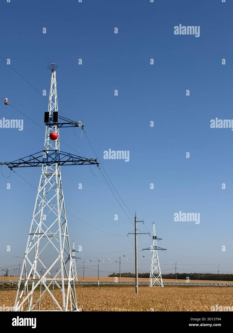 colored plastic balls hanging on overhead electricity wires are called ...