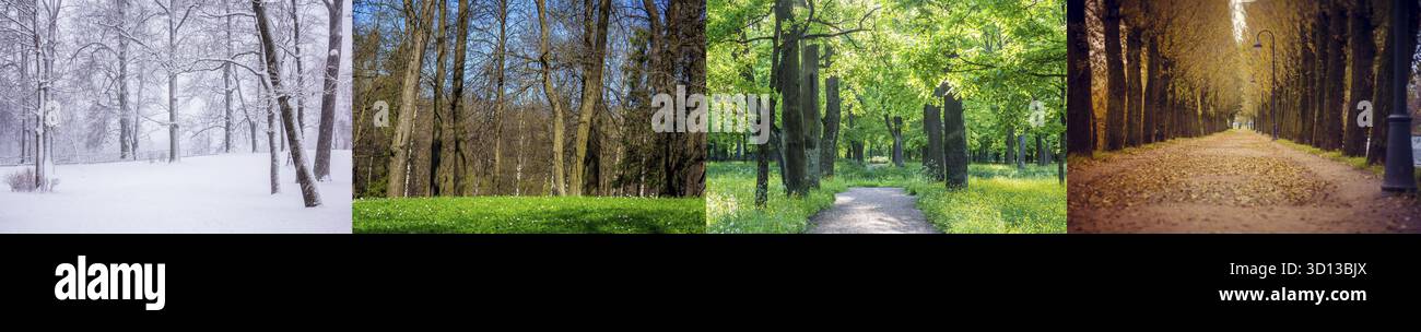 Collage seasons . All season. Seasons in one photo. Winter spring ...