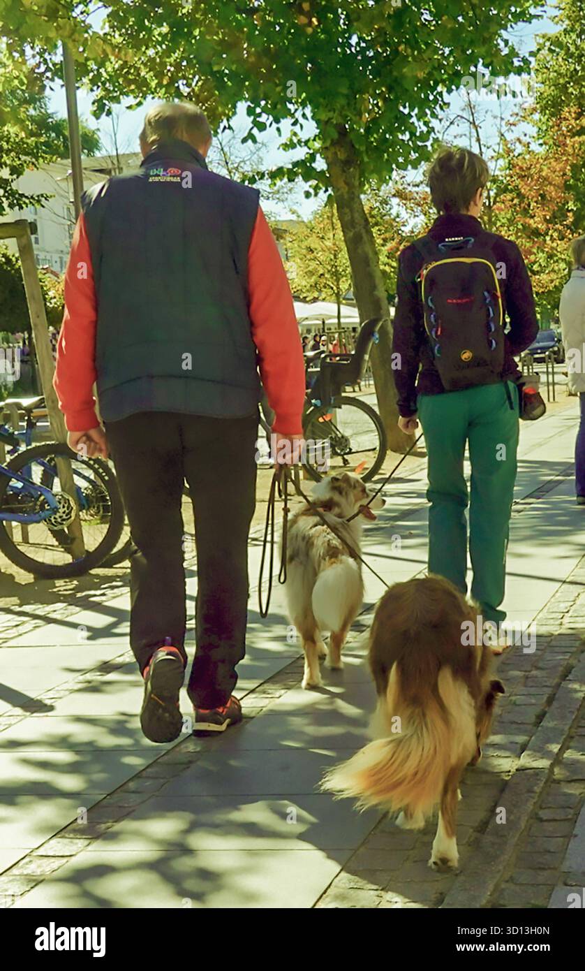 Mode - Hunde ausführen im Urlaubsgebiet - wie hier gesehen am 25.09. ...