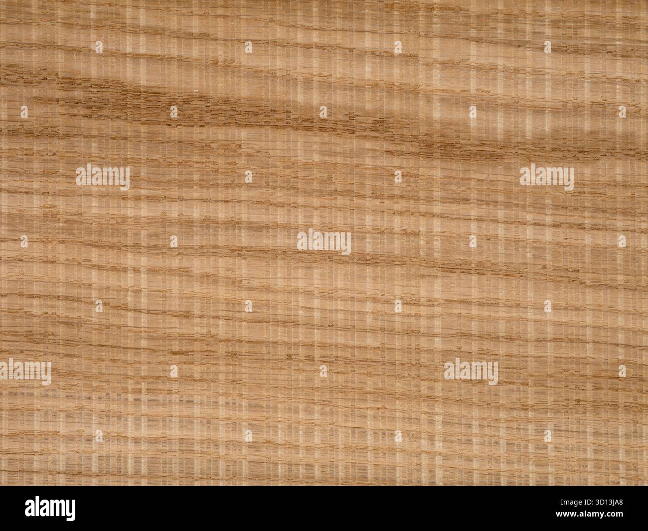 Capture the beauty of European oak wood with horizontal saw cut ...
