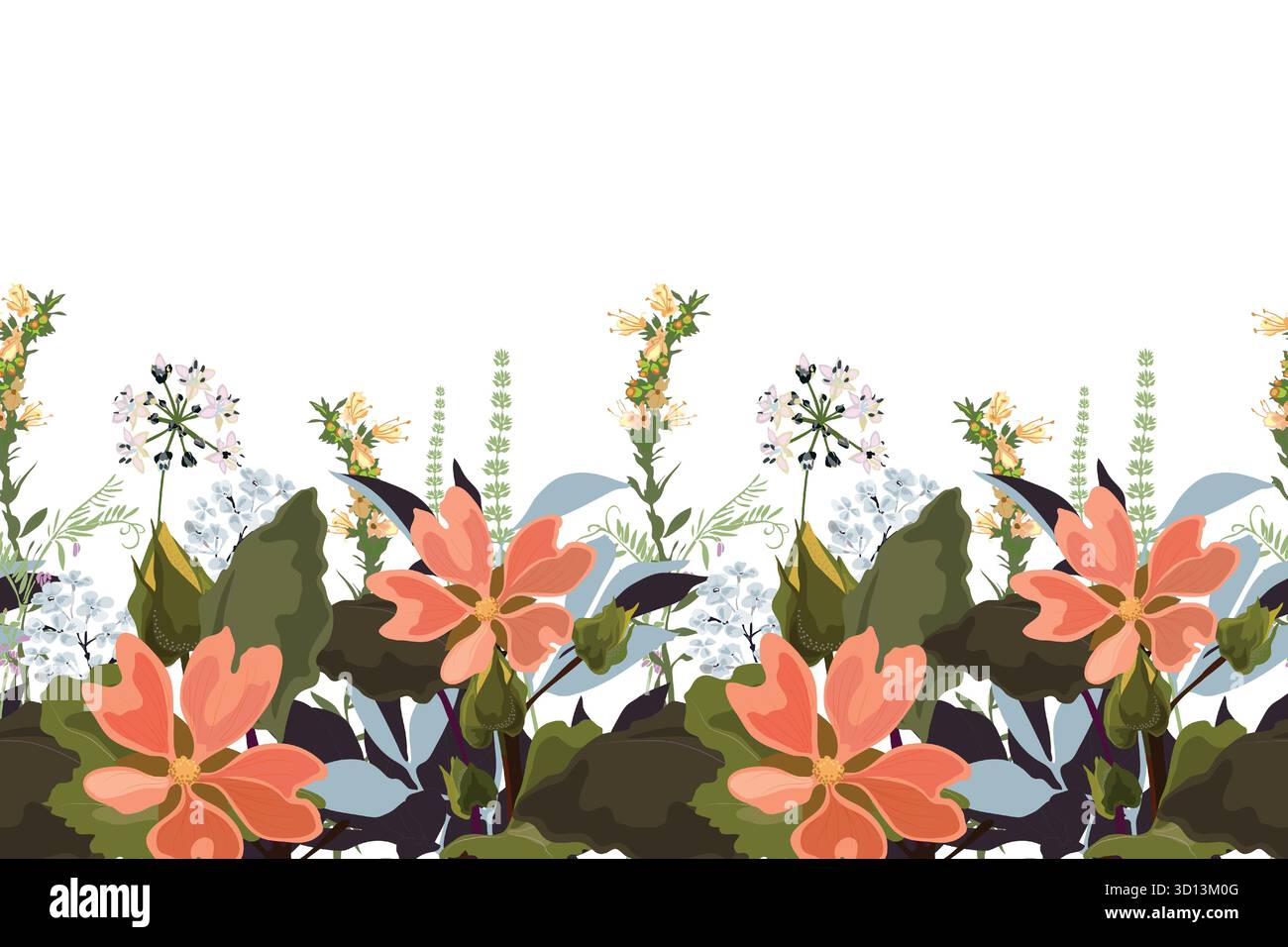 Vector floral seamless pattern, border with coral color flowers Stock ...