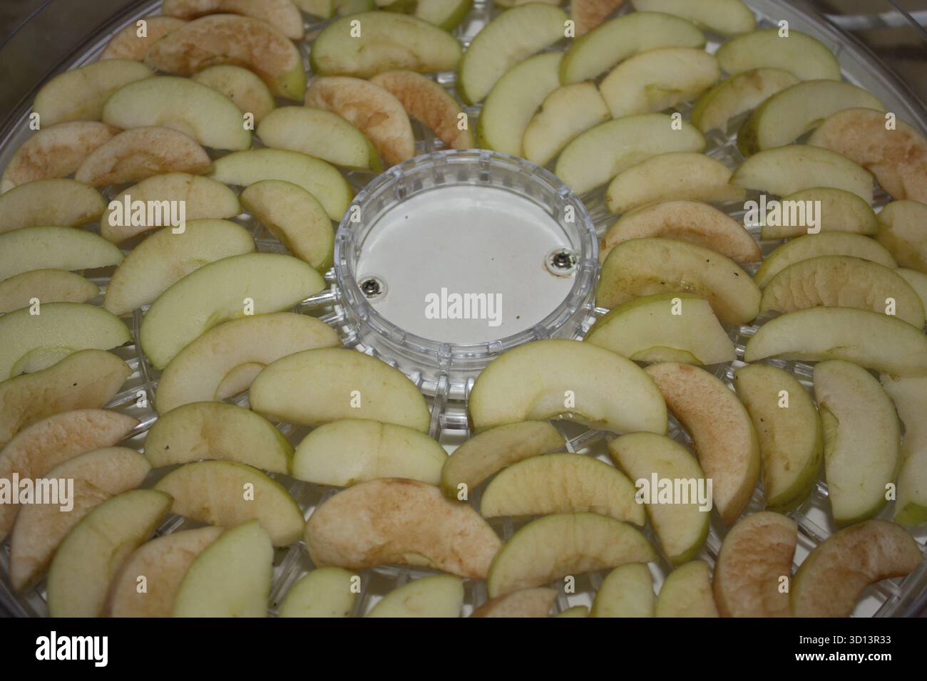 Sliced apples in the dryer. The apples are drying. Apple slices Stock ...