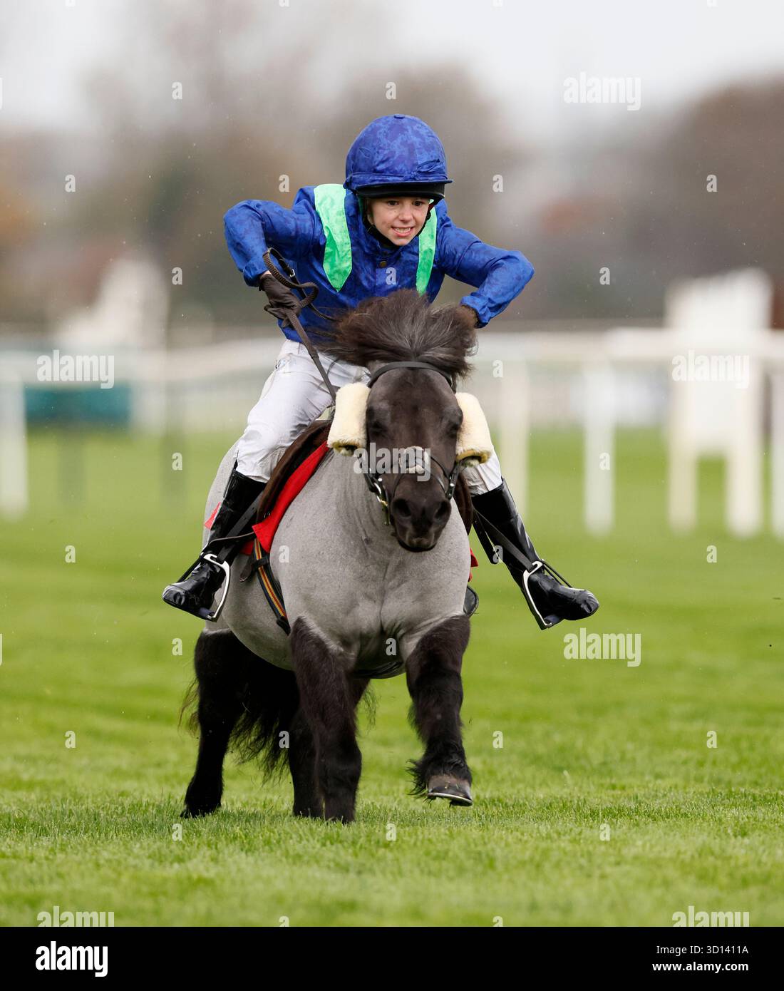 Ulverscroft Harvest Blue ridden by jockey Holly Smith on their way to ...