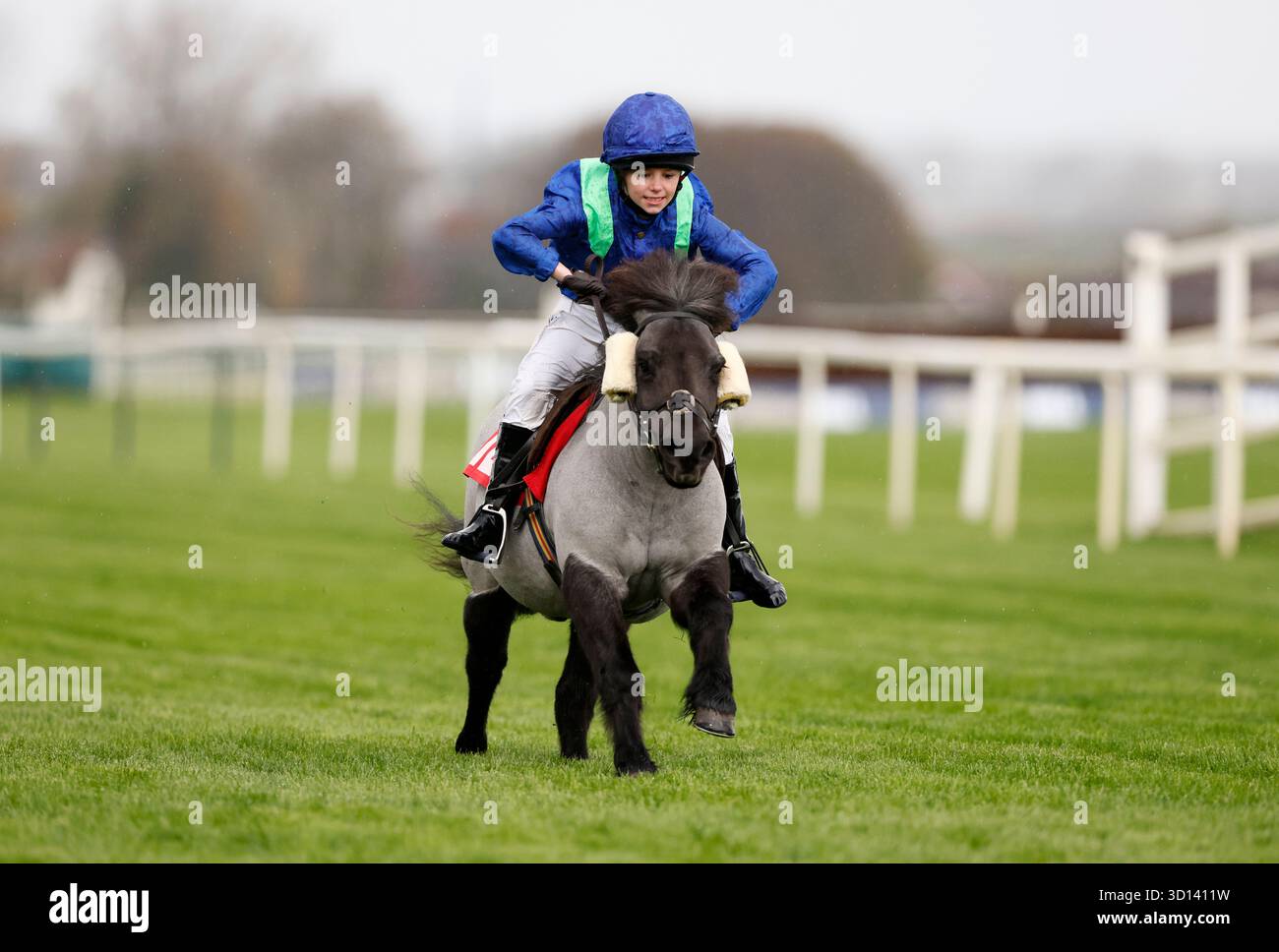Ulverscroft Harvest Blue ridden by jockey Holly Smith on their way to ...