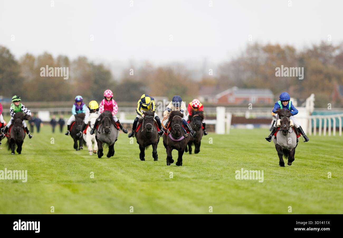 Ulverscroft Harvest Blue (right) ridden by jockey Holly Smith on their ...