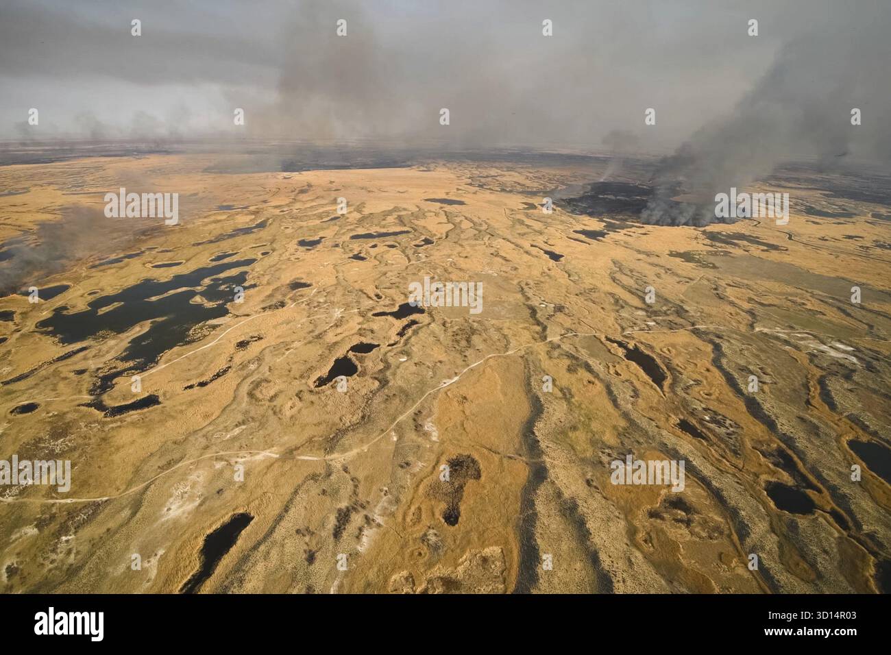 Tundra fire. Burning dry grass and peat bogs, fire and smoke in the ...