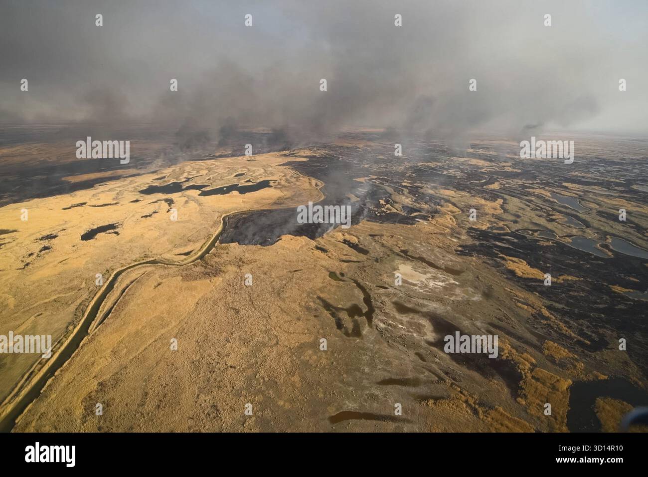 Tundra fire. Burning dry grass and peat bogs, fire and smoke in the ...