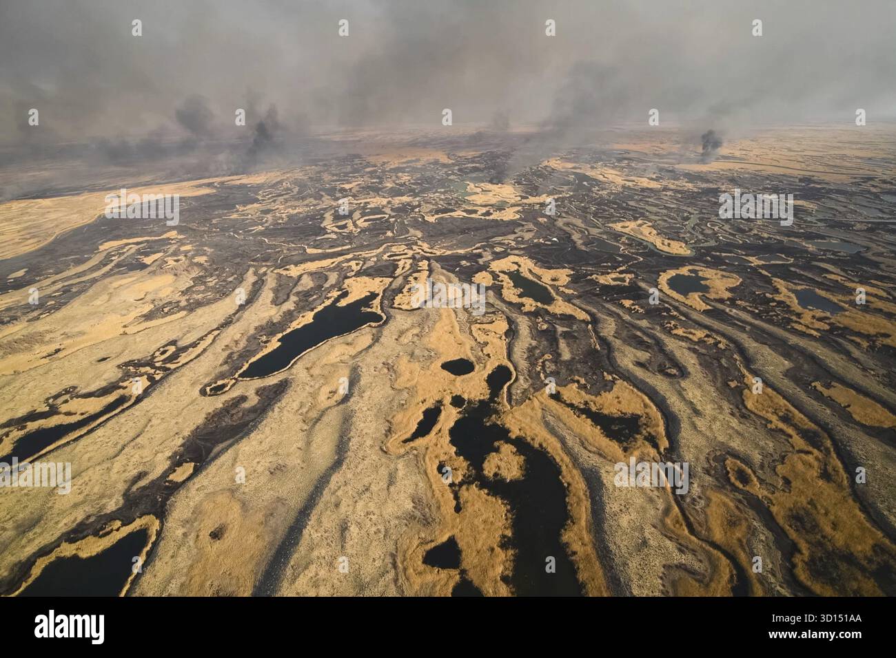 Tundra fire. Burning dry grass and peat bogs, fire and smoke in the ...