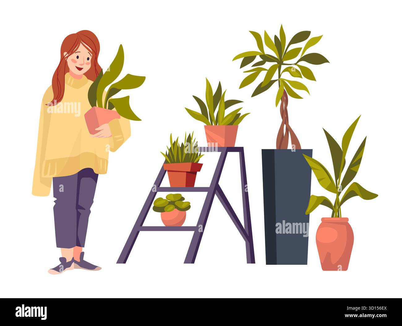 Plants in pots growing Cut Out Stock Images & Pictures - Alamy