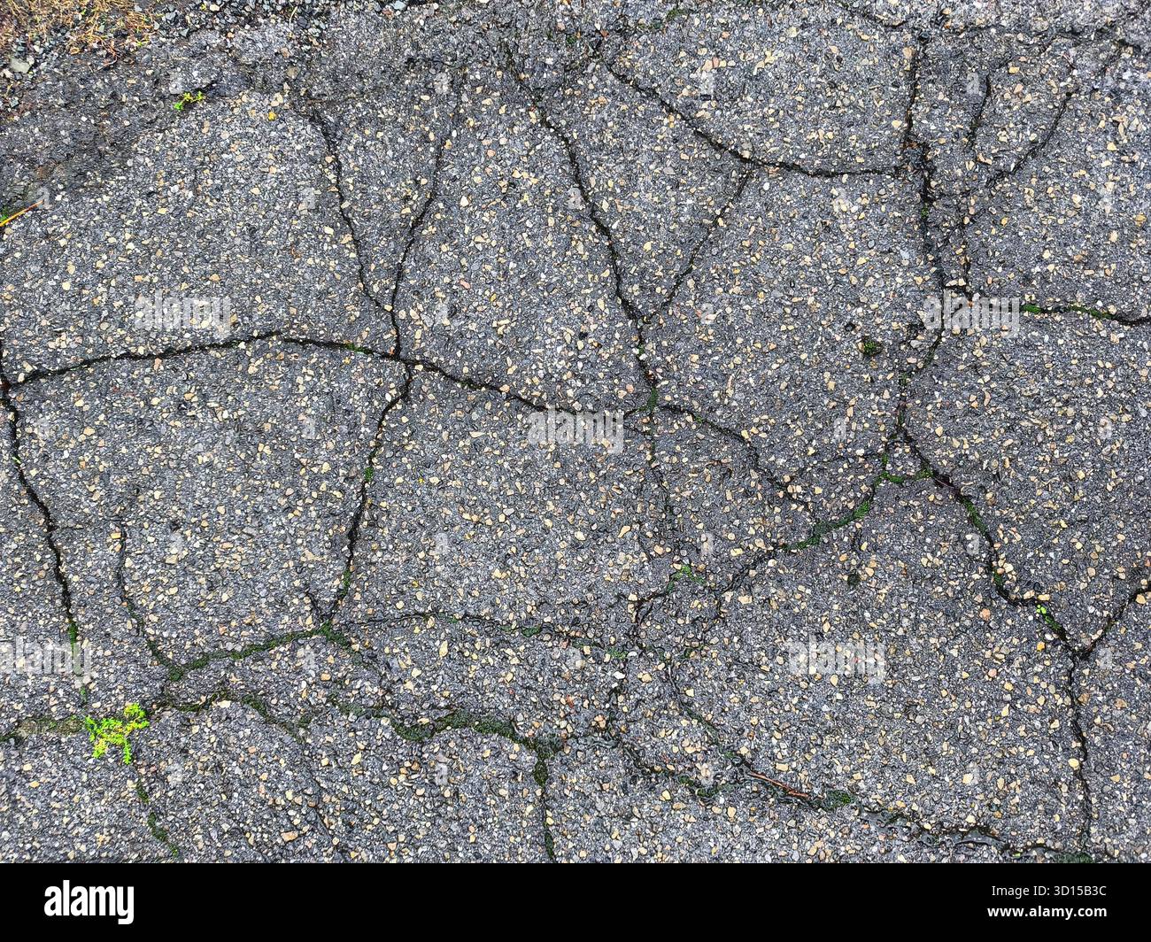 Macro view of cracked asphalt showing deep fractures and rough textured ...