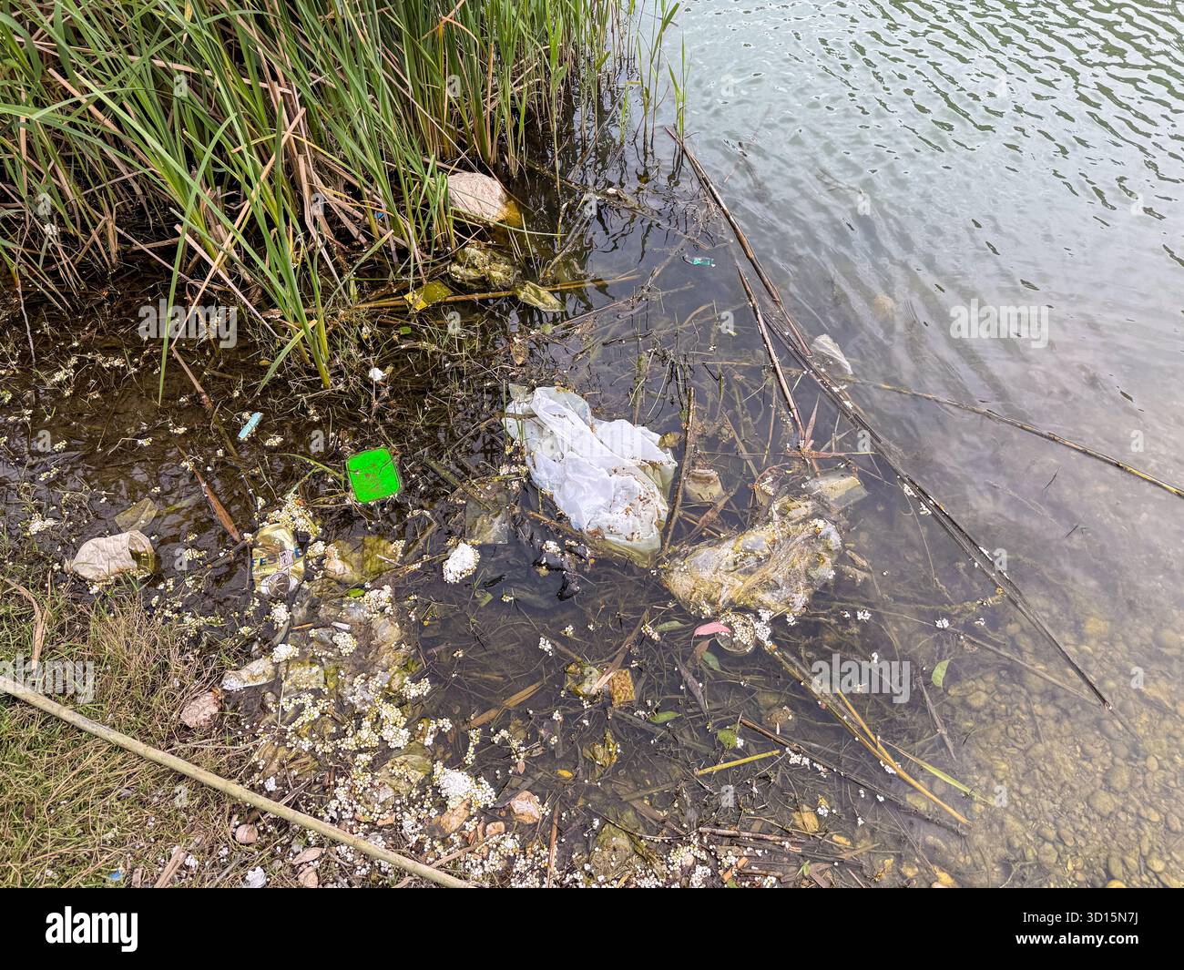 Plastic waste in a polluted water body surrounded by tall green grass ...