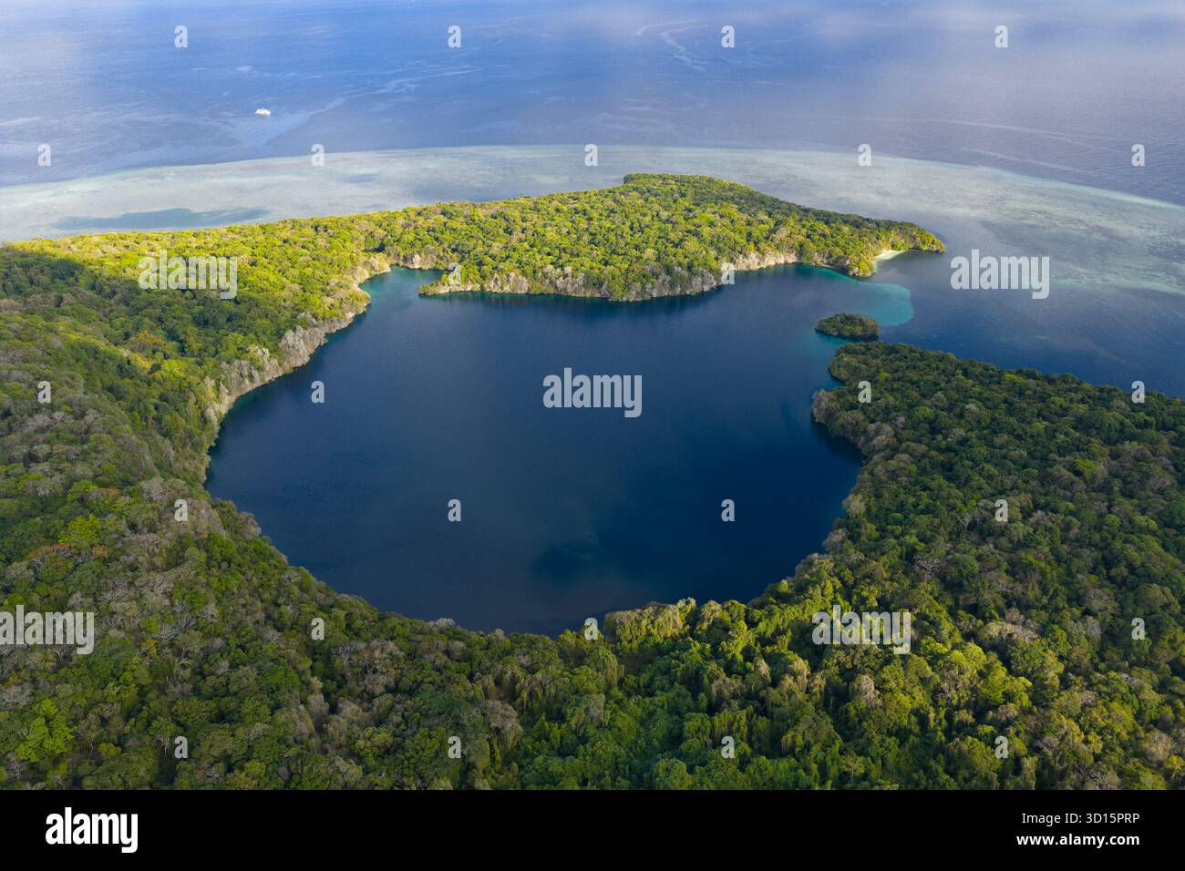 Forest surrounds lagoon on hi-res stock photography and images - Alamy