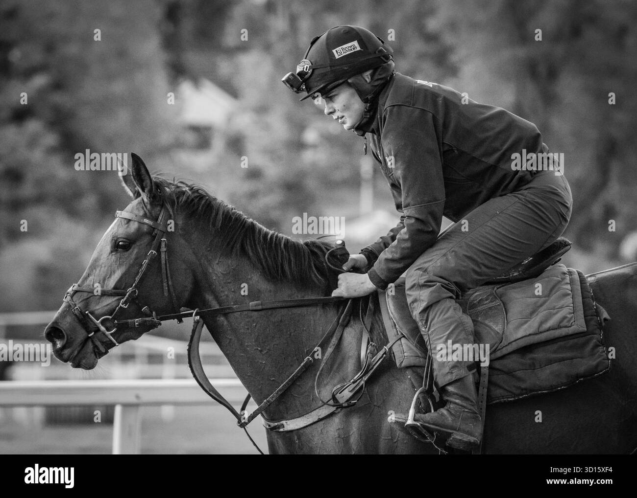 Lilly pinchin at worcester racecourse hi-res stock photography and ...