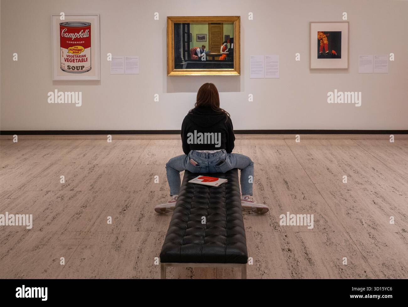 the Sheldon Museum of Art Museum on the campus of the University of ...