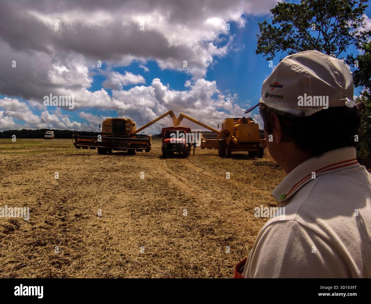 Mato Grosso, Brazil, March 17, 2006: Farmer watching harvesters ...