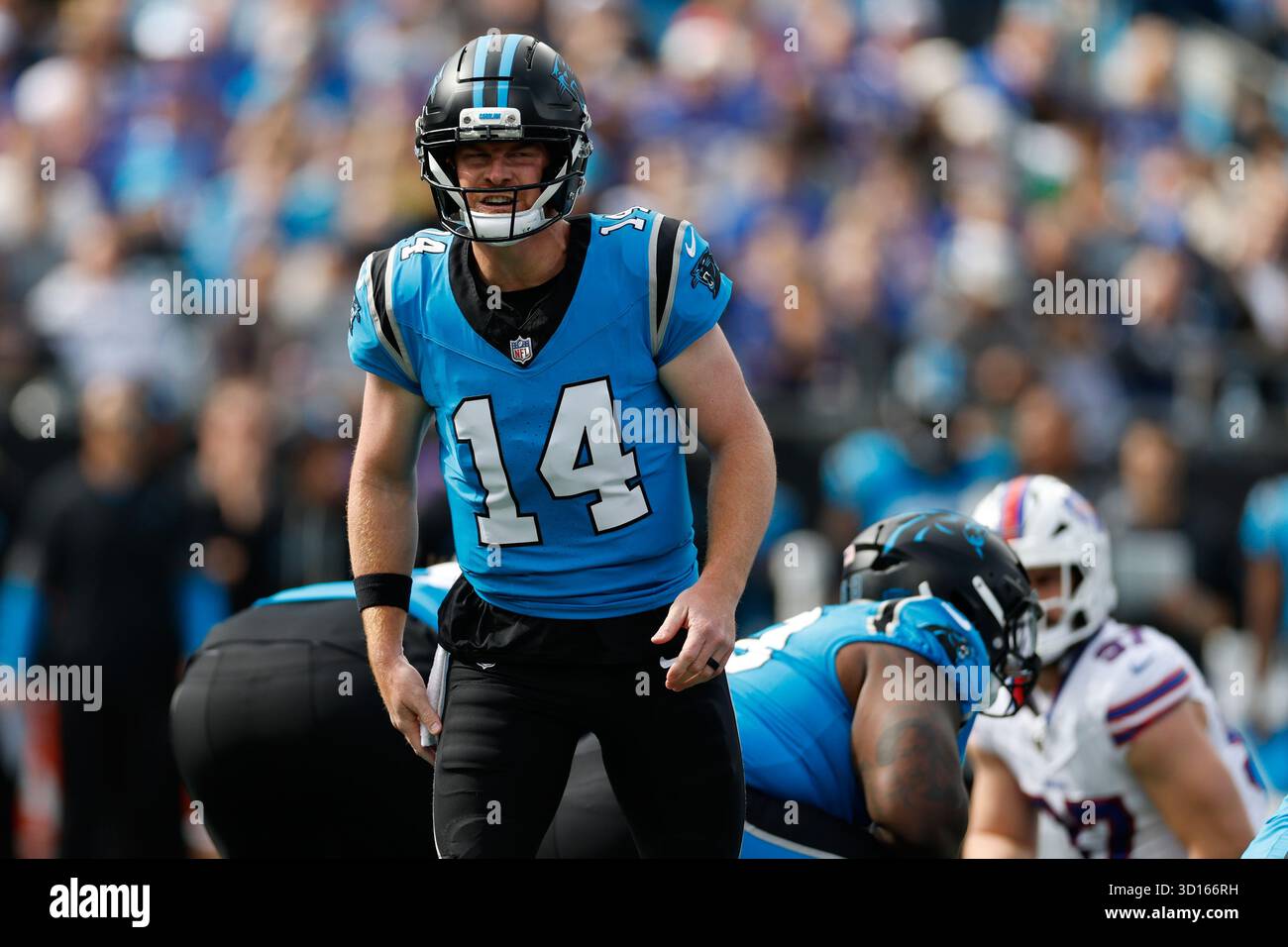 Carolina Panthers quarterback Andy Dalton (14) during the first half an ...