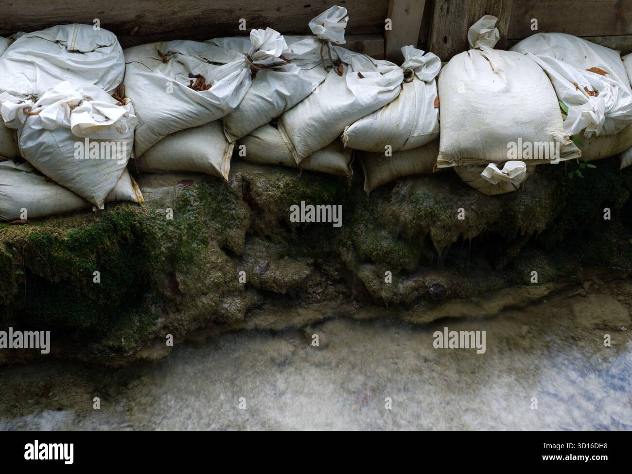 White sandbags line a damp riverbank, forming a protective barrier ...