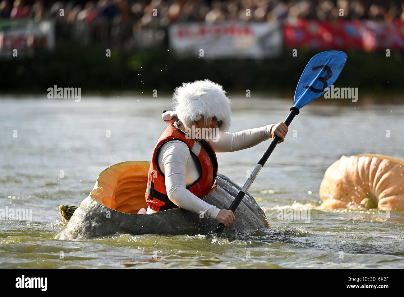 Various activities at the 'Pompoenregatta' boat race in scooped out ...