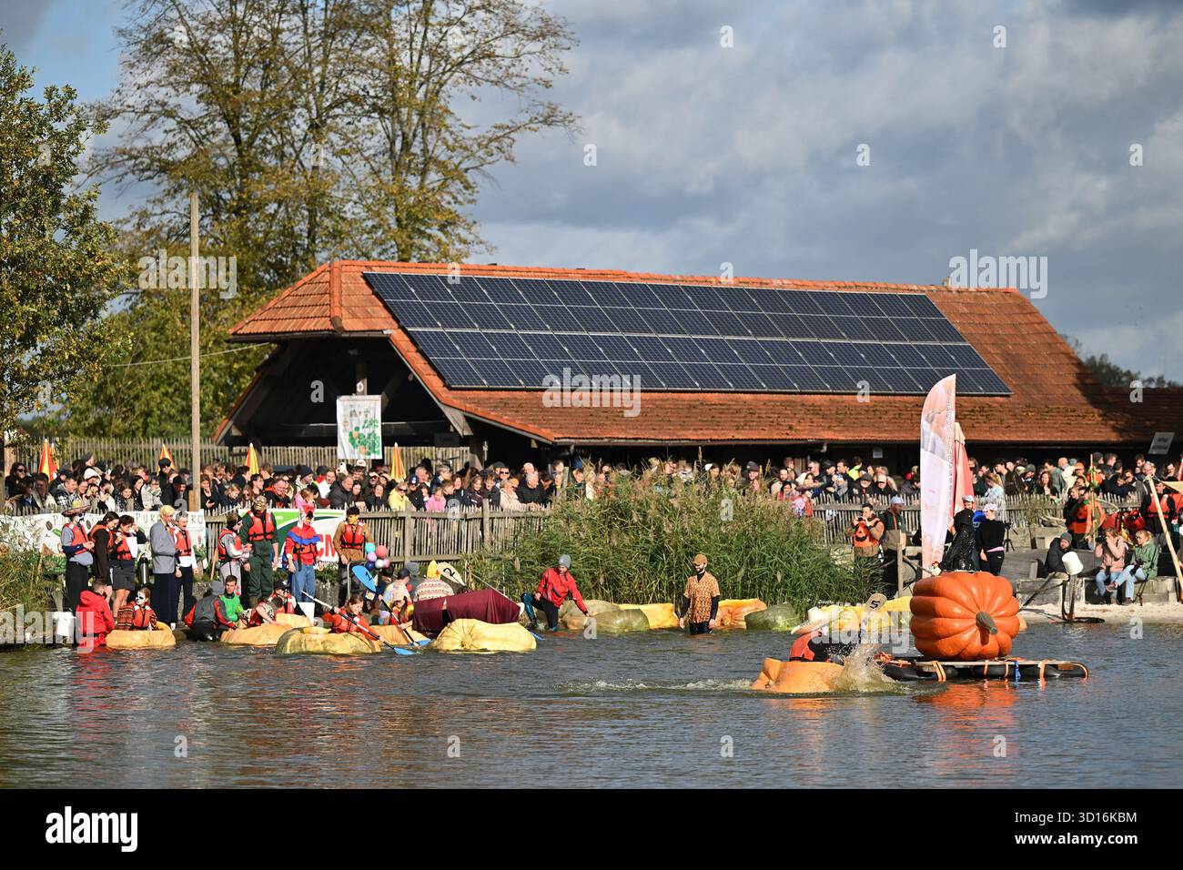 Various activities at the 'Pompoenregatta' boat race in scooped out ...