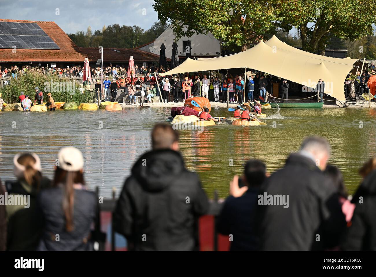 Various activities at the 'Pompoenregatta' boat race in scooped out ...