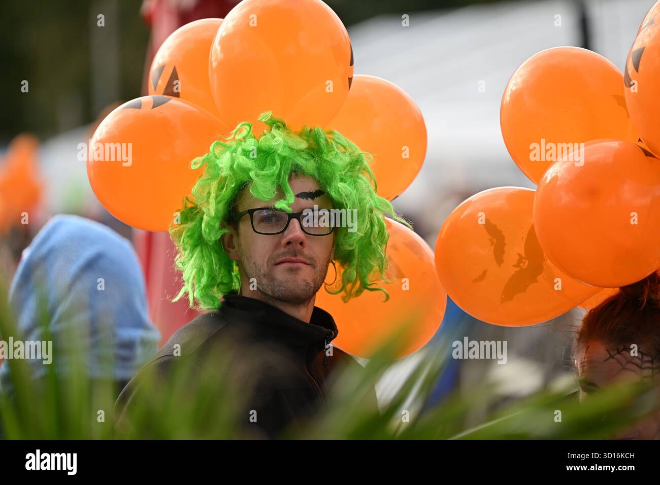 Various activities at the 'Pompoenregatta' boat race in scooped out ...