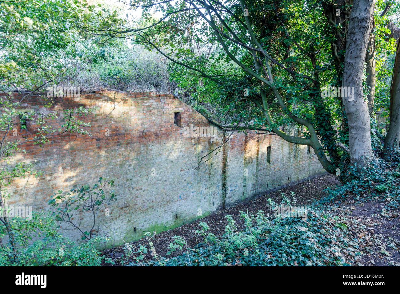 Paull wall hi-res stock photography and images - Alamy