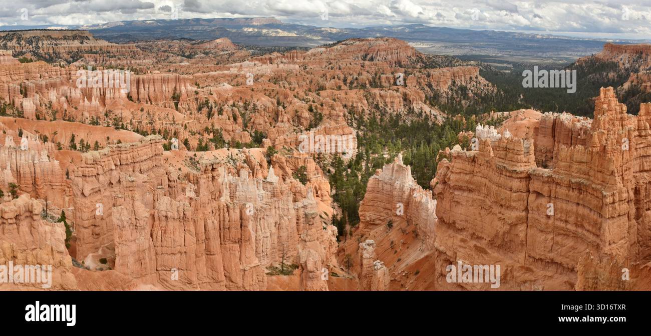 Orange hoodoos in the amphitheater of Bryce Canyon National Park in ...