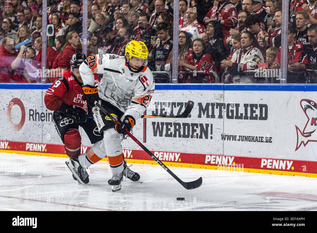 Fabio Kose (Loewen Frankfurt, #20) vs Gregor MacLeod (Koelner Haie, #89 ...