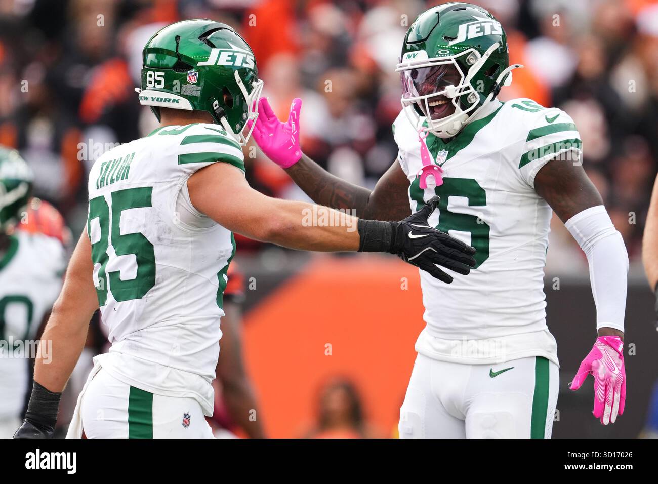 New York Jets tight end Mason Taylor (85) celebrates after his ...