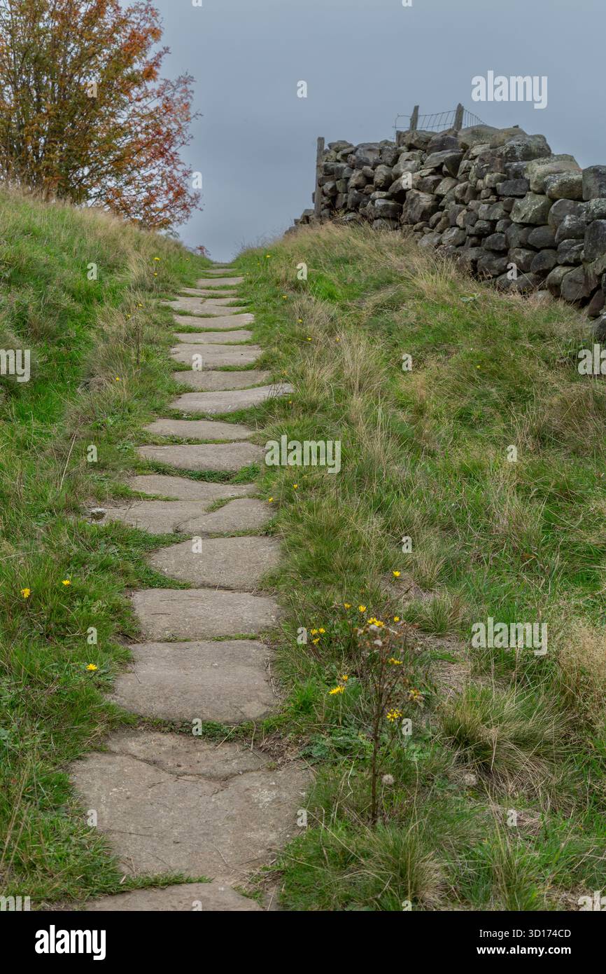 Load saddles road hi-res stock photography and images - Alamy