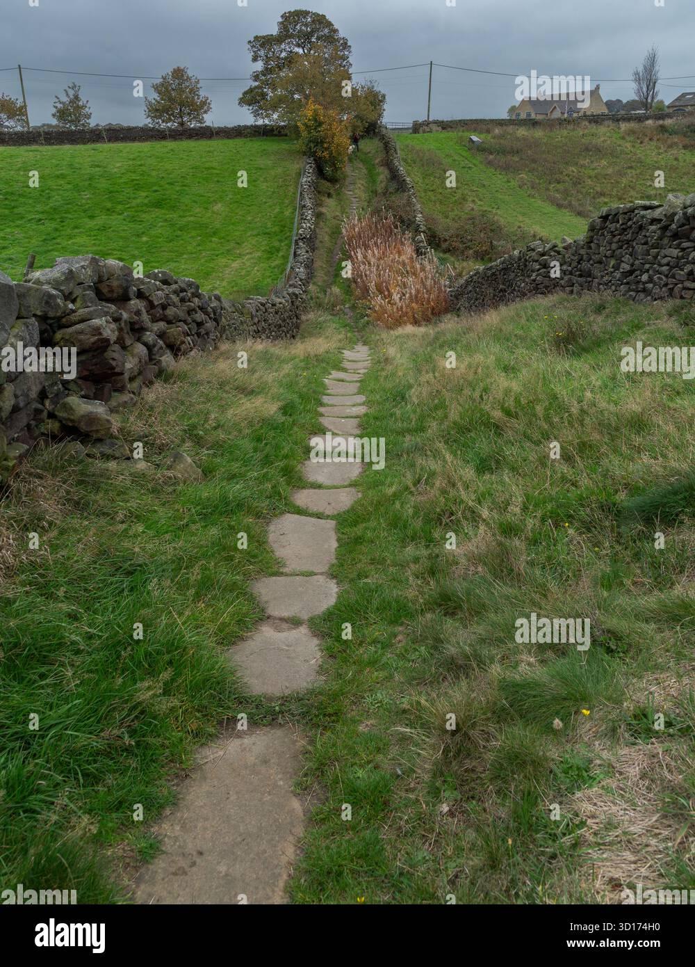 Load saddles road hi-res stock photography and images - Alamy
