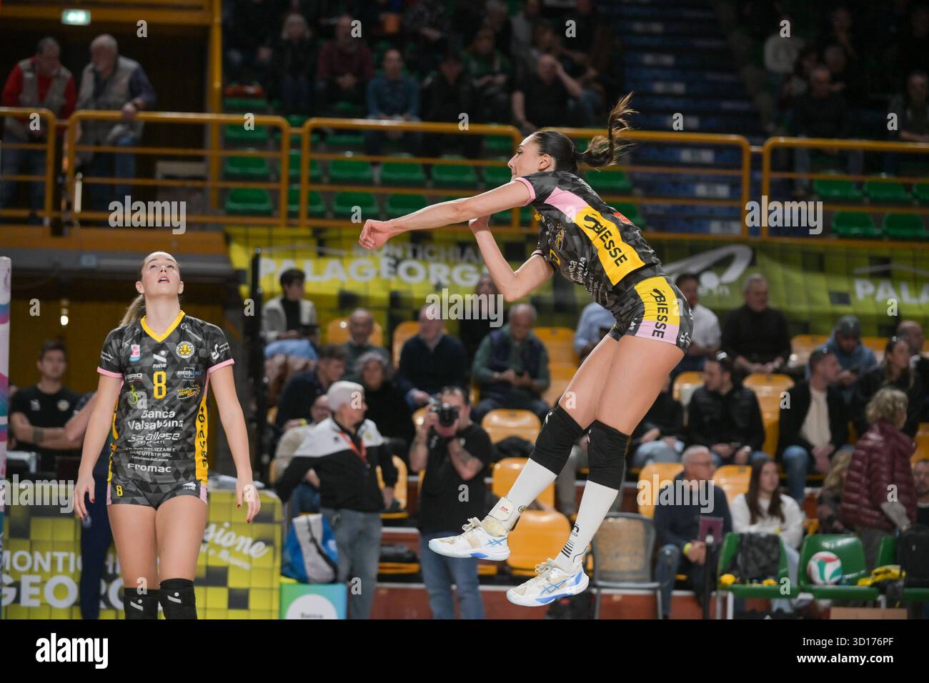 Panbisco leonessa altamura hi-res stock photography and images - Alamy