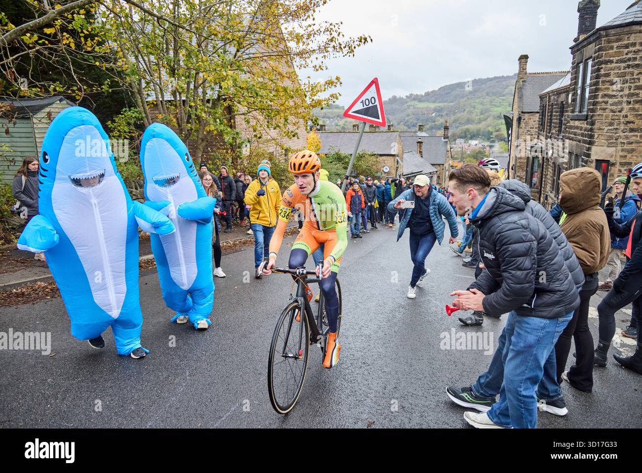 Team elite 02 hi-res stock photography and images - Alamy