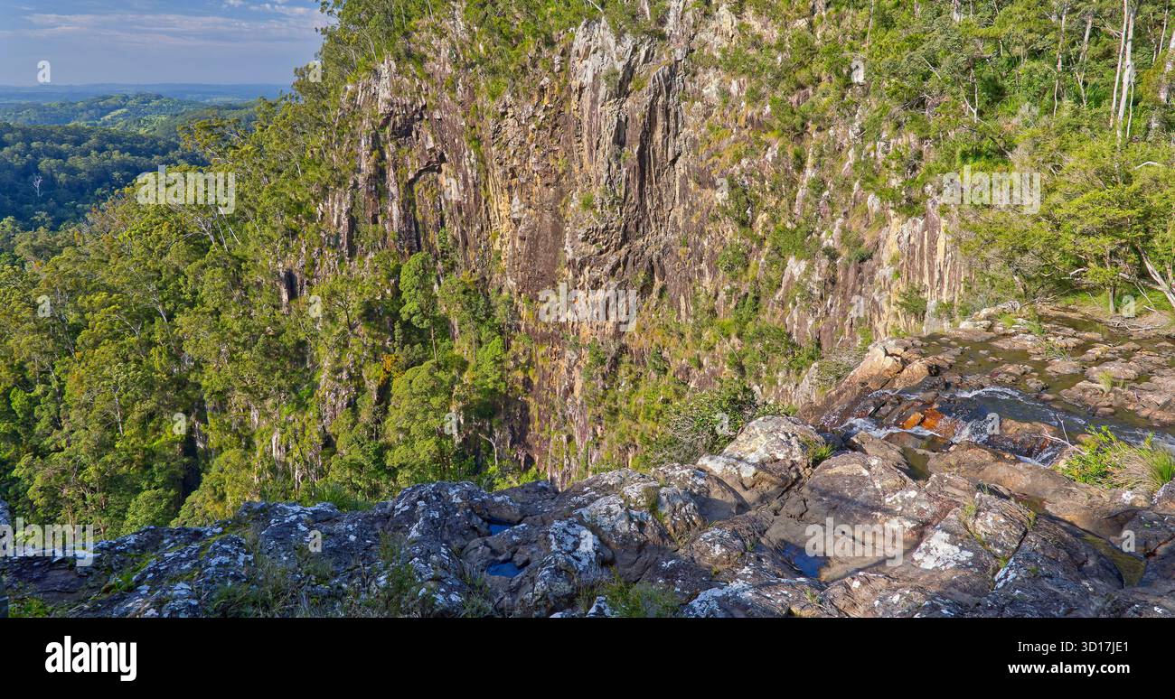 Minyon falls waterfall over escarpment cliff in rainforest at Nightcap ...
