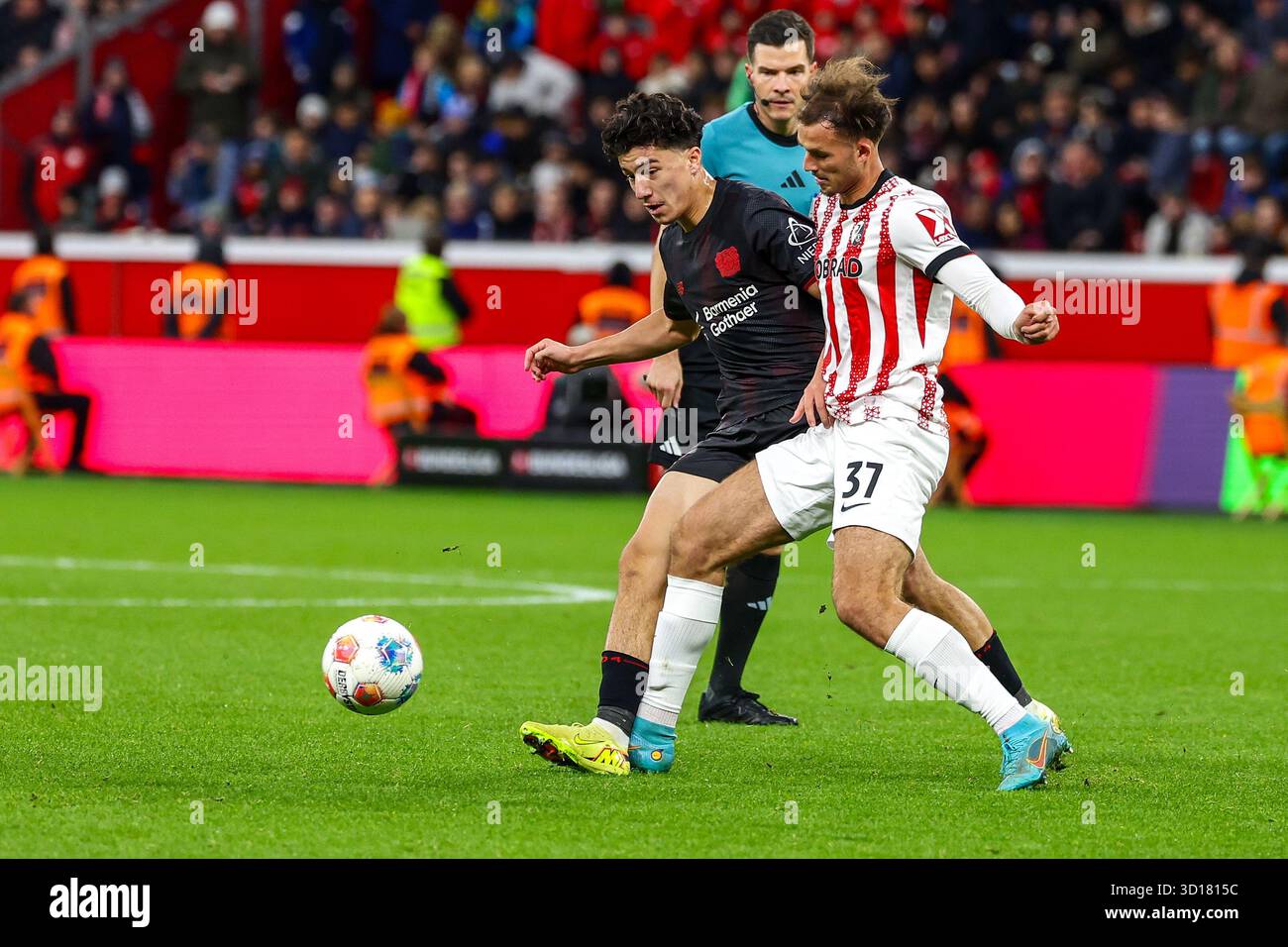 Rosenfelder freiburg 2025 hi-res stock photography and images - Alamy