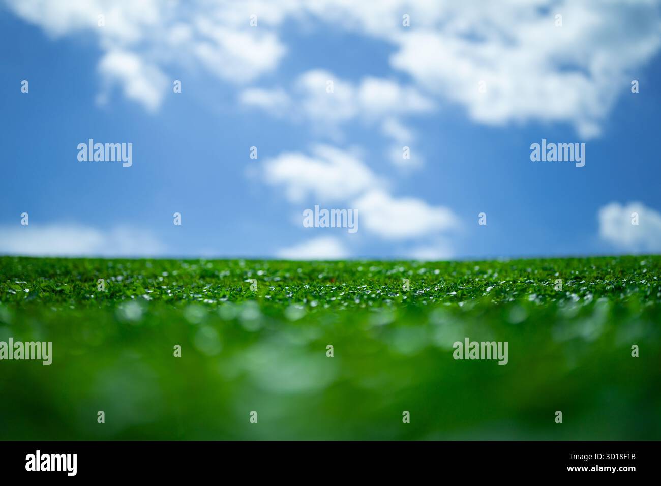 Empty grass field. Garden landscape. Wild grass meadow. Rural grass ...