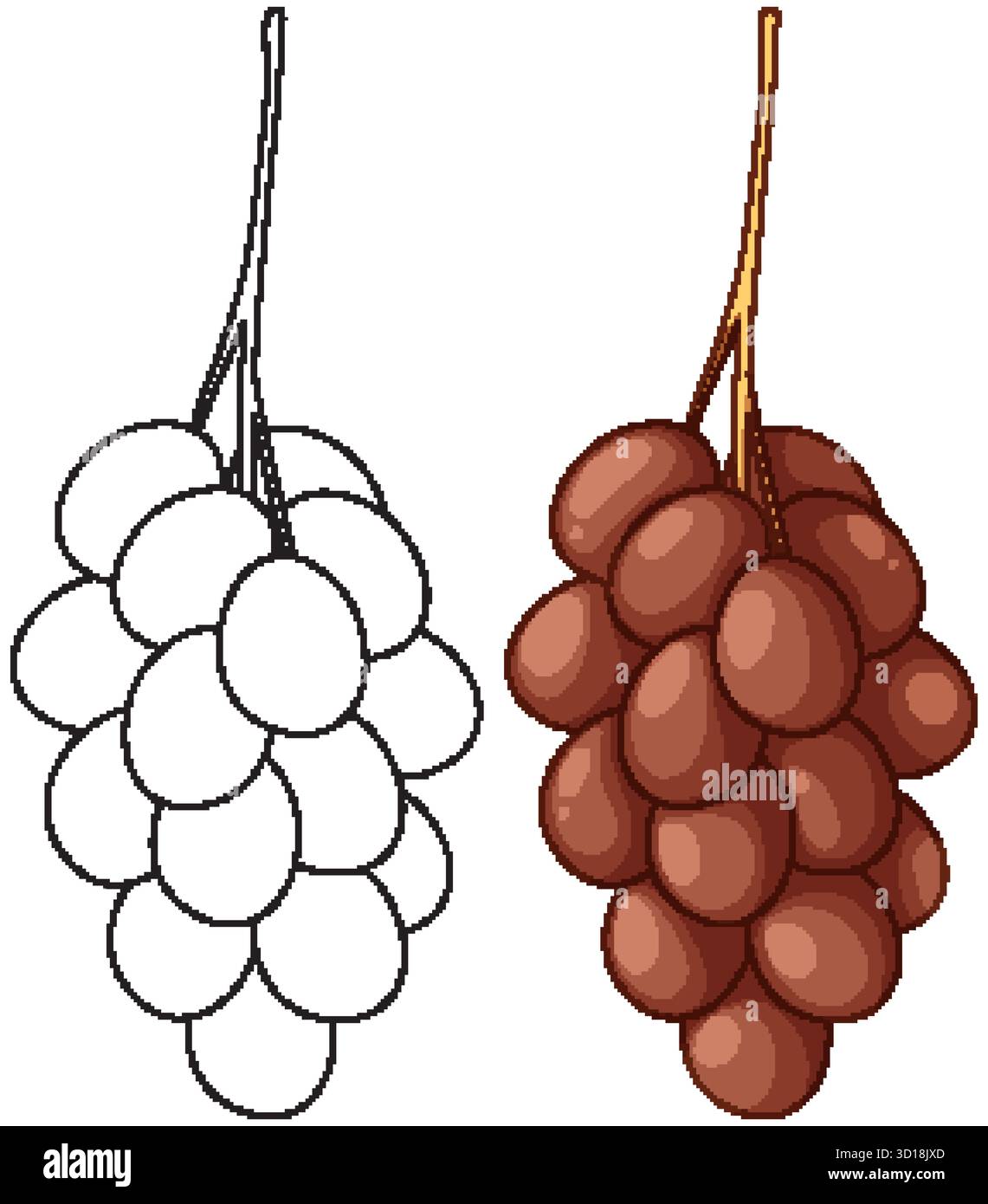 Vector illustration of red grapes bunch, side-by-side colored and ...