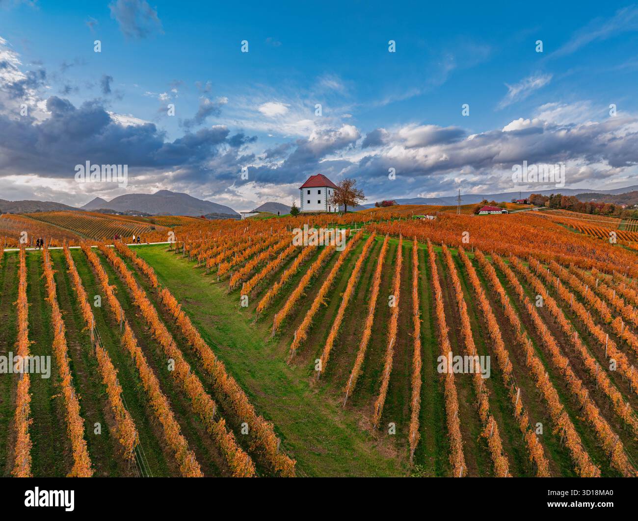 Zlat hi-res stock photography and images - Alamy