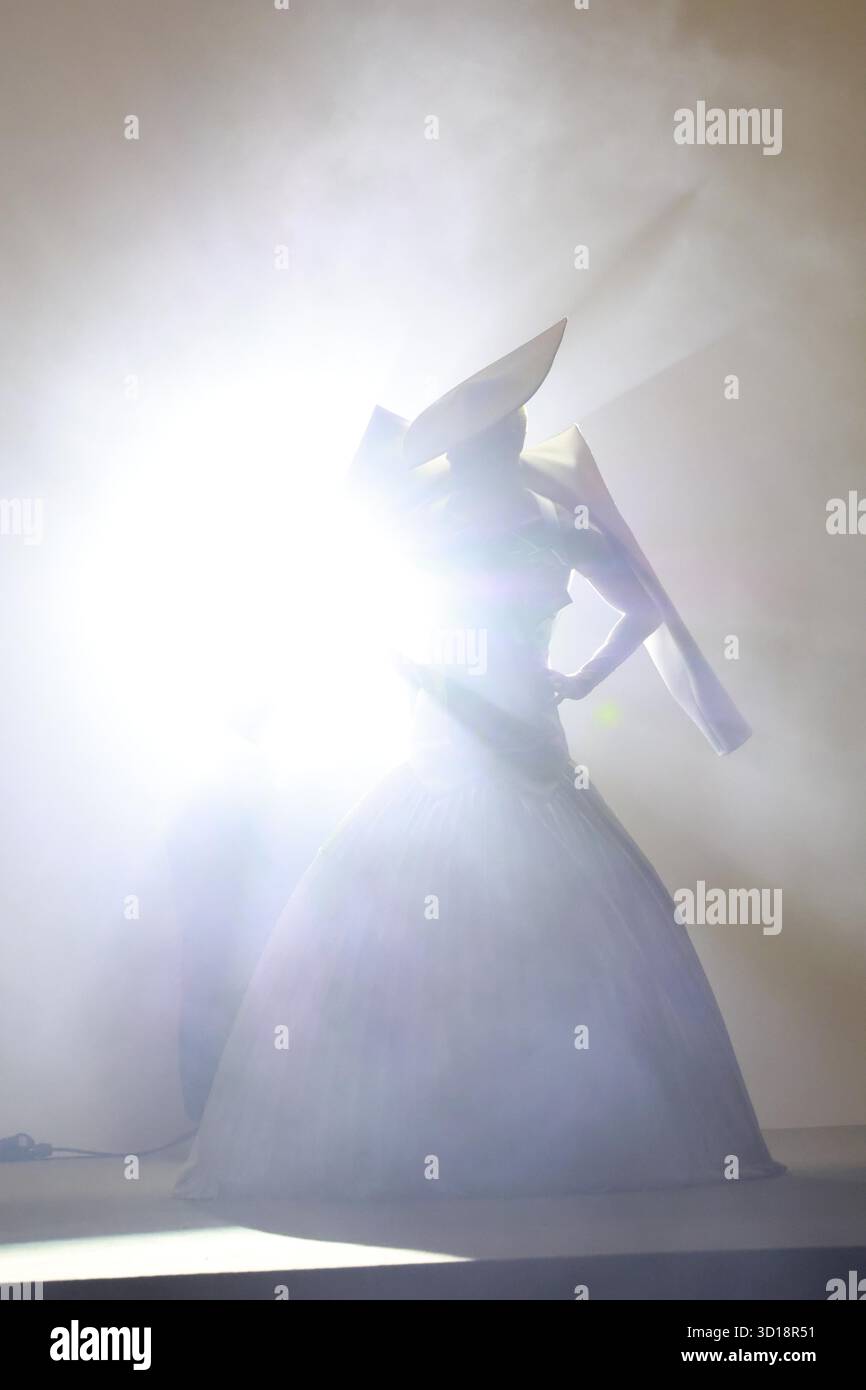 Japanese-American singer and model Mika Hashizume attends an activity ...