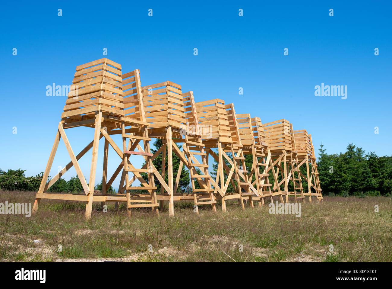 Row of tall wooden platforms with ladders under construction in open ...
