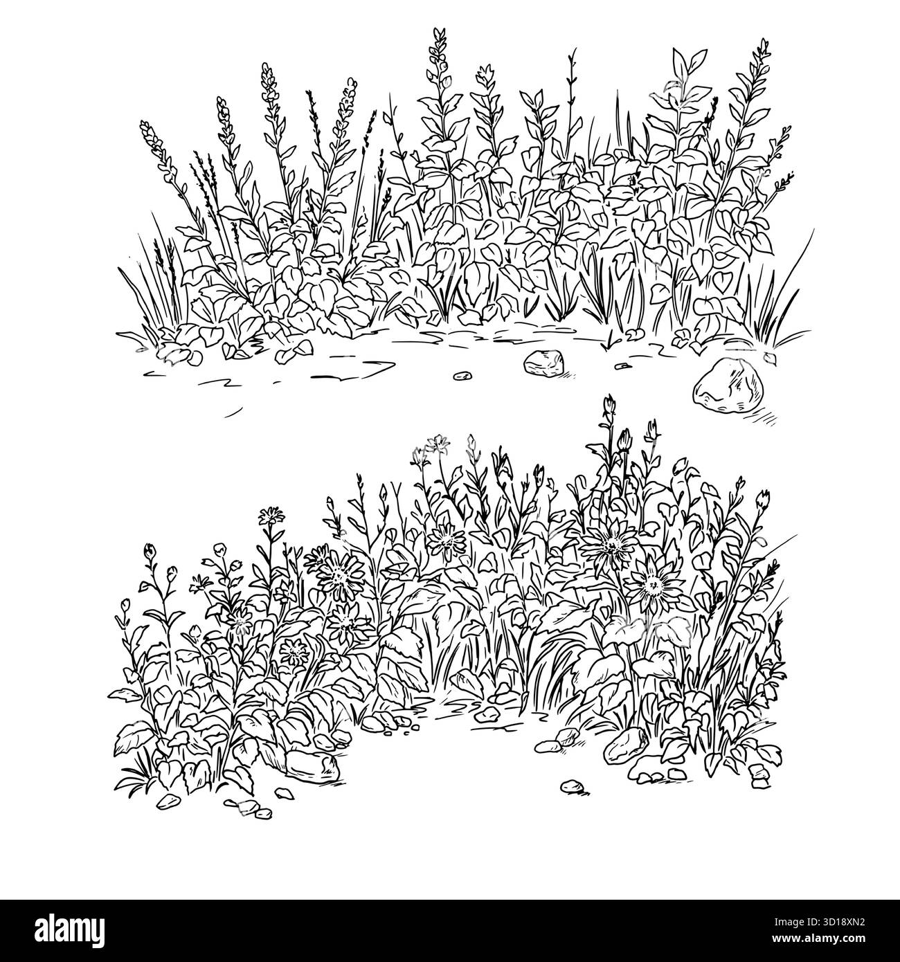 Green bushes with flowers Stock Vector Images - Alamy