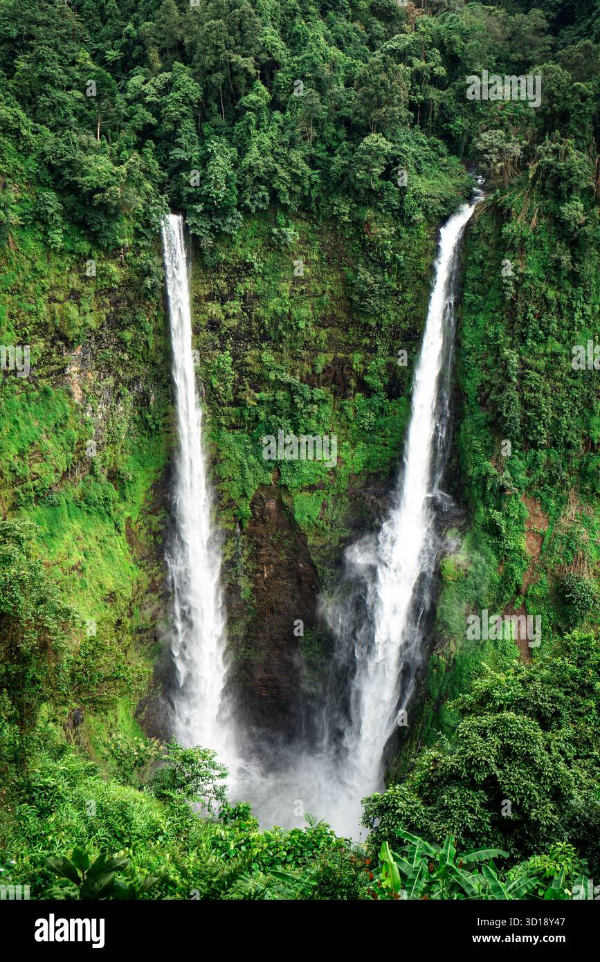 Majestic Tad Fane Twin Waterfalls Surrounded by Lush Greenery, Bolaven ...