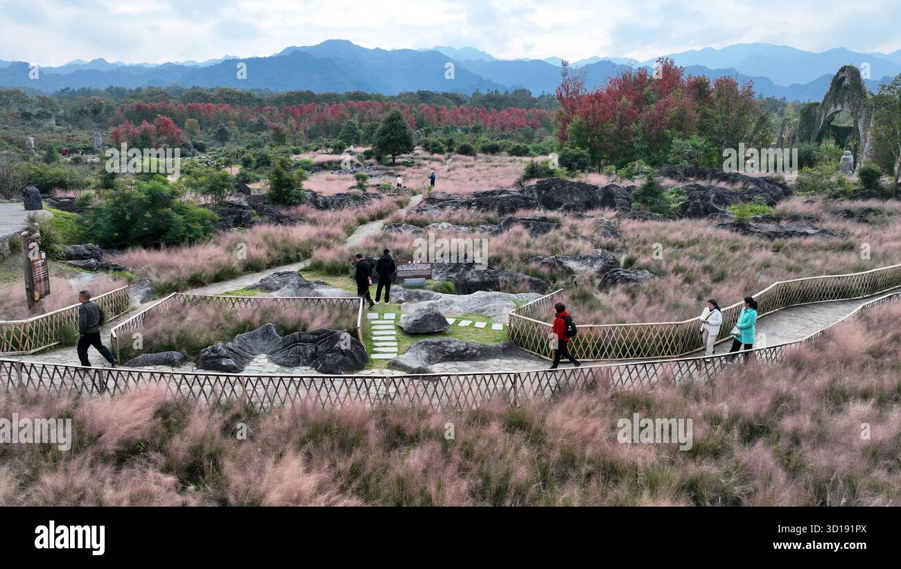 Tourists admire autumn scenery in Youyang County, Chongqing, China, 24 ...