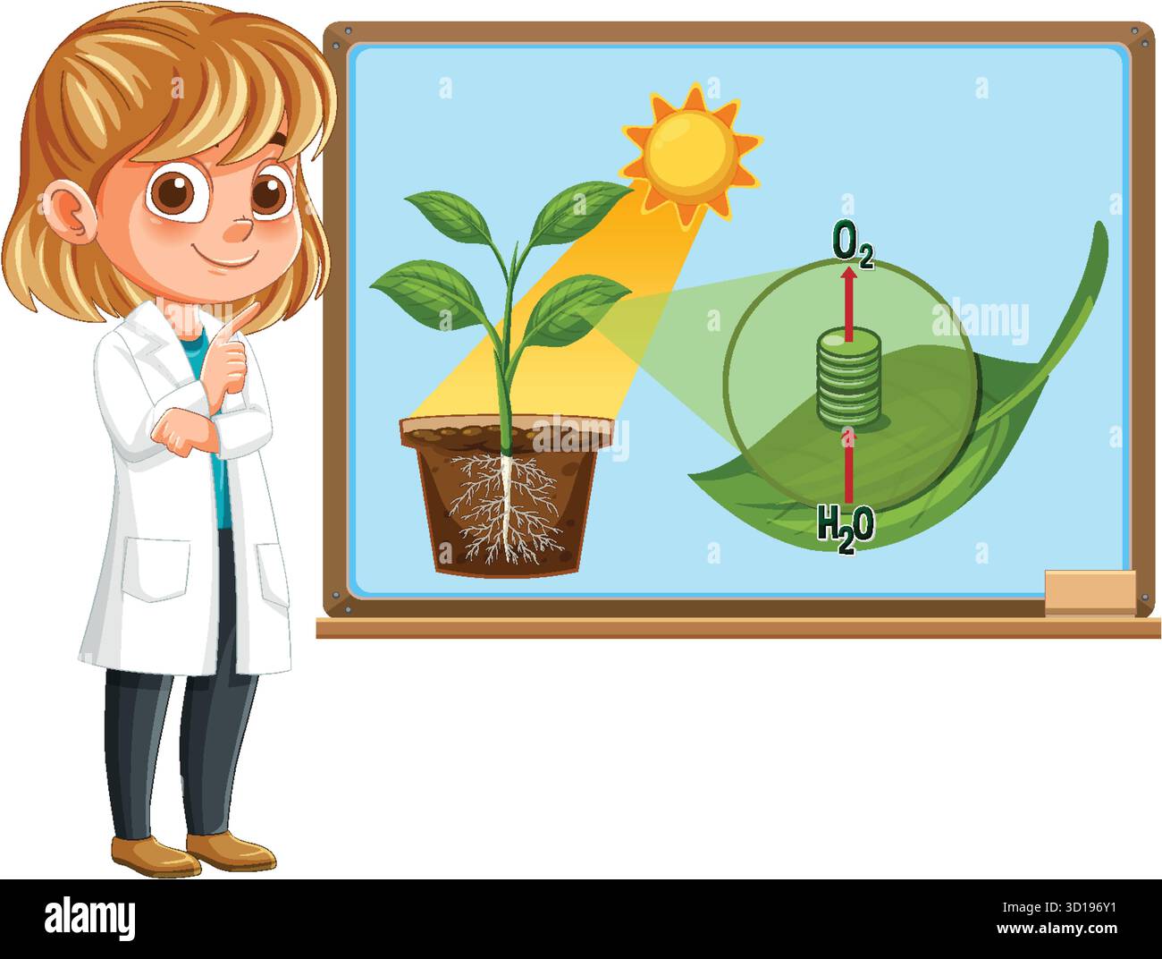Child in lab coat presenting plant photosynthesis diagram with sunlight ...