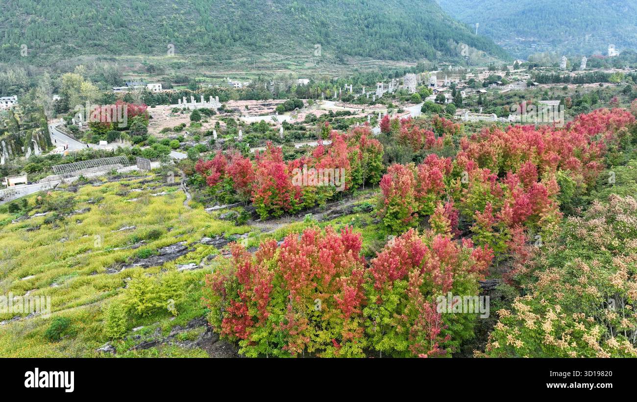 Tourists admire autumn scenery in Youyang County, Chongqing, China, 24 ...