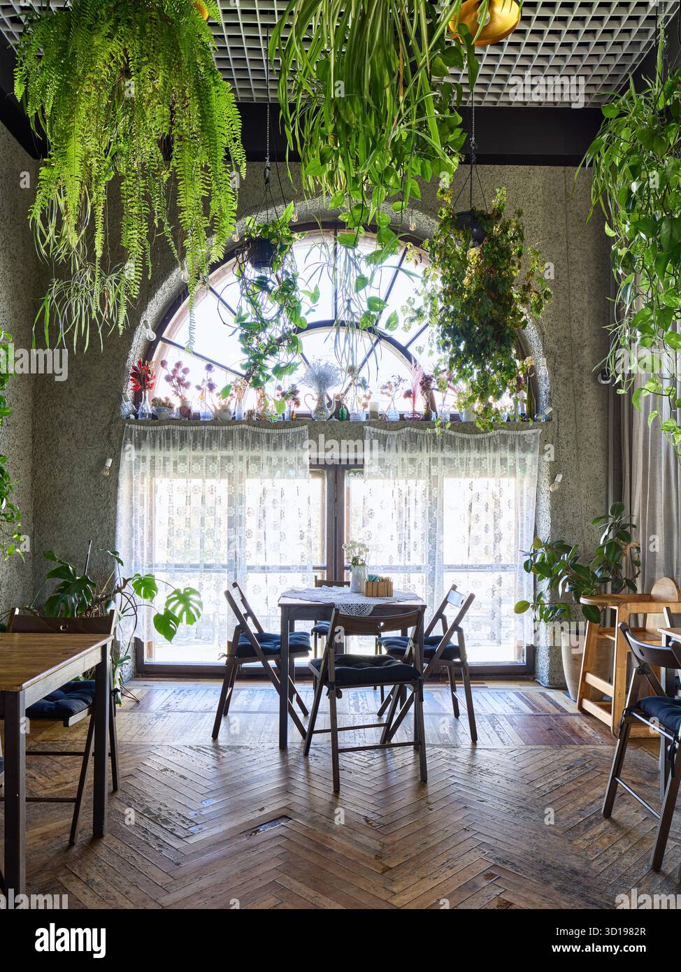 Cozy cafe interior with greenery and natural light for relaxation Stock ...