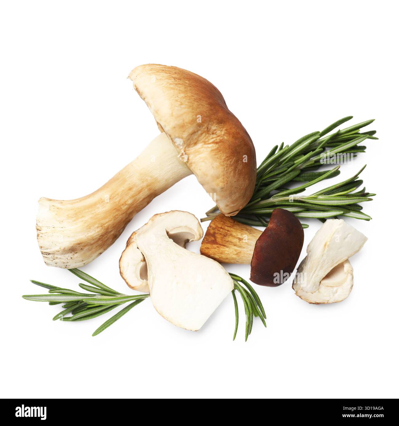 Fresh porcini mushrooms rosemary Cut Out Stock Images & Pictures - Alamy